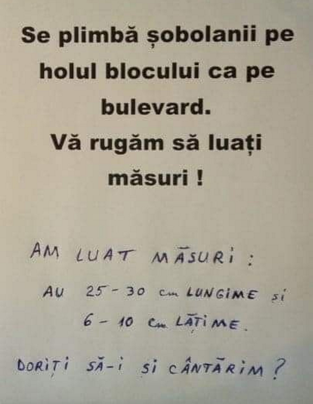 Poze haioase: Anunț la bloc