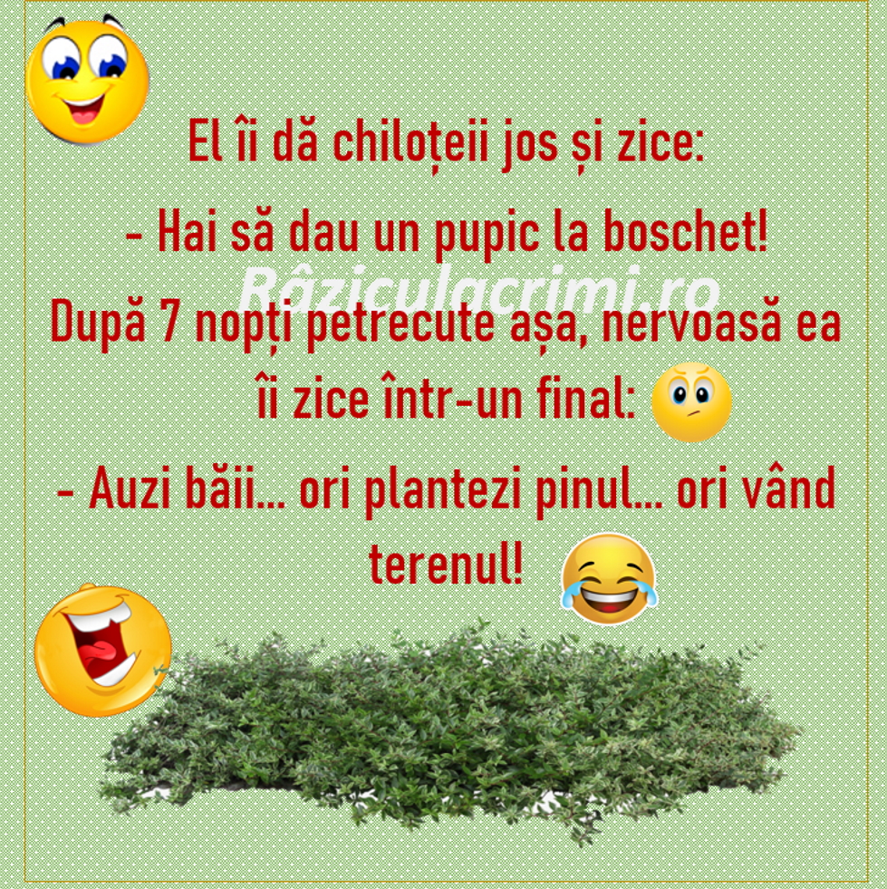 Banc: Hai să dau un pupic...