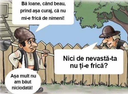 Poze haioase: Discuție între vecini