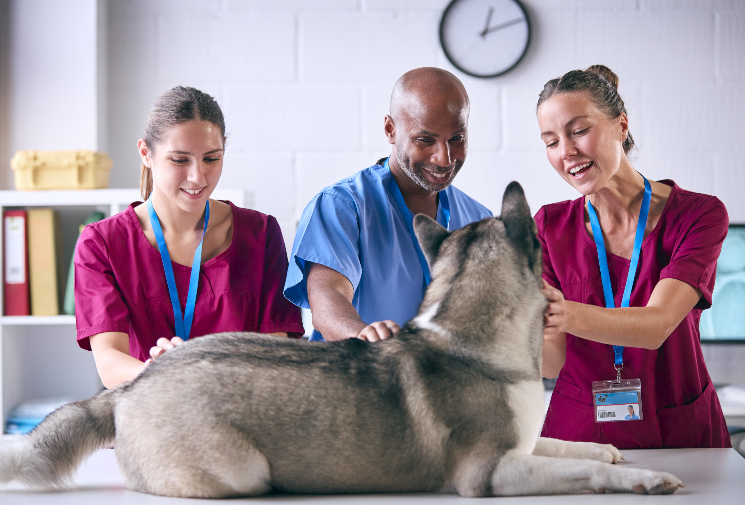 Banc: Un bărbat își duce câinele la veterinar